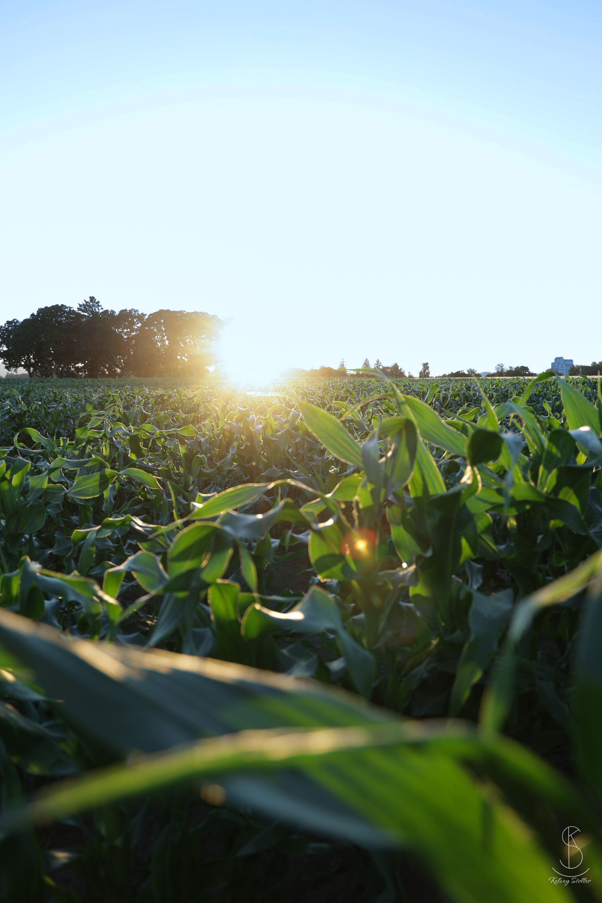 Stoller Legacy Farms, LLC